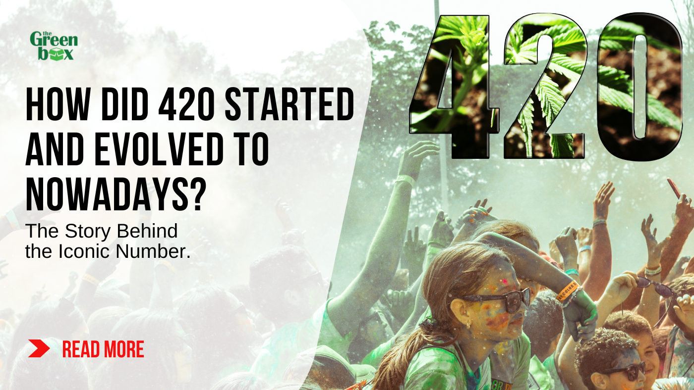 How Did 420 Started and Evolved to Nowadays? | The Green Box